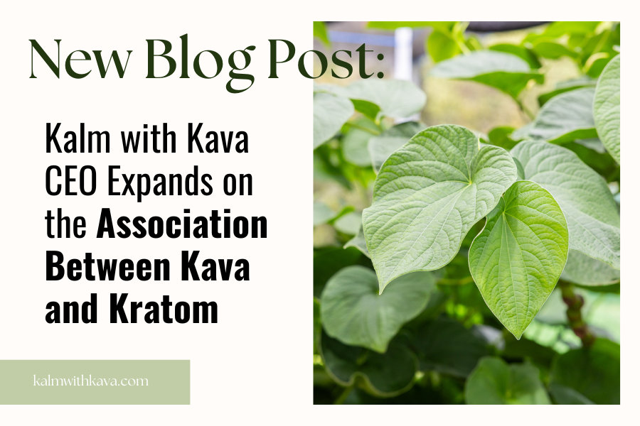 Kava First Time Experience: What to Expect | Kalm with Kava